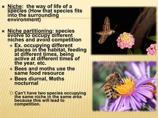 Lecture 10 macroevolution and systematics | PPTX