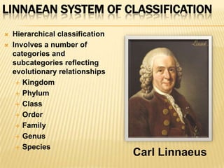 Lecture 10 macroevolution and systematics | PPTX