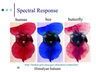 Lecture10 maxwells equations