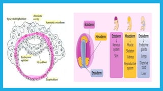 Lecture 10 Multifetal pregnancy | PPTX
