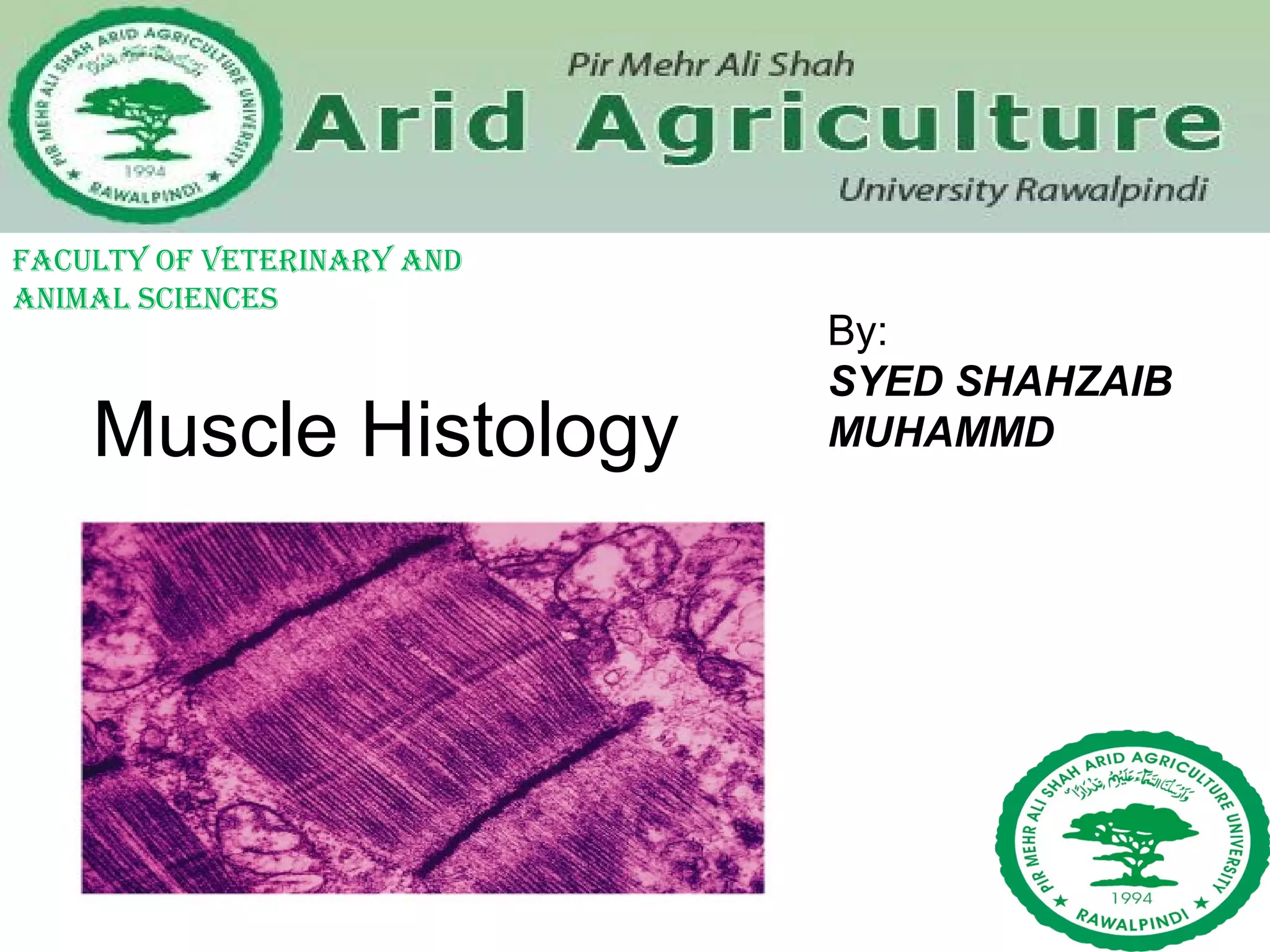 Lecture 10 muscle histology | PPT