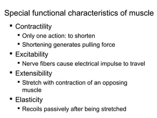 Lecture 10 muscle histology | PPT