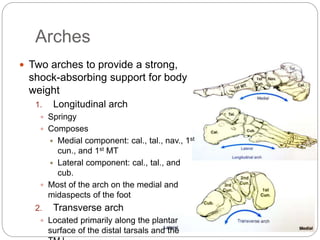 Lecture_10_new-_Radiography_of_Lower_Limb_I.ppt