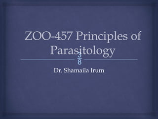 Orthonectida-Eveything explained about it | PPTX