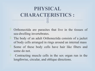 Orthonectida-Eveything explained about it | PPTX