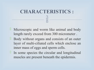 Orthonectida-Eveything explained about it | PPTX