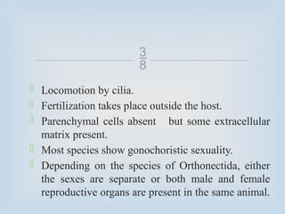 Orthonectida-Eveything explained about it | PPTX