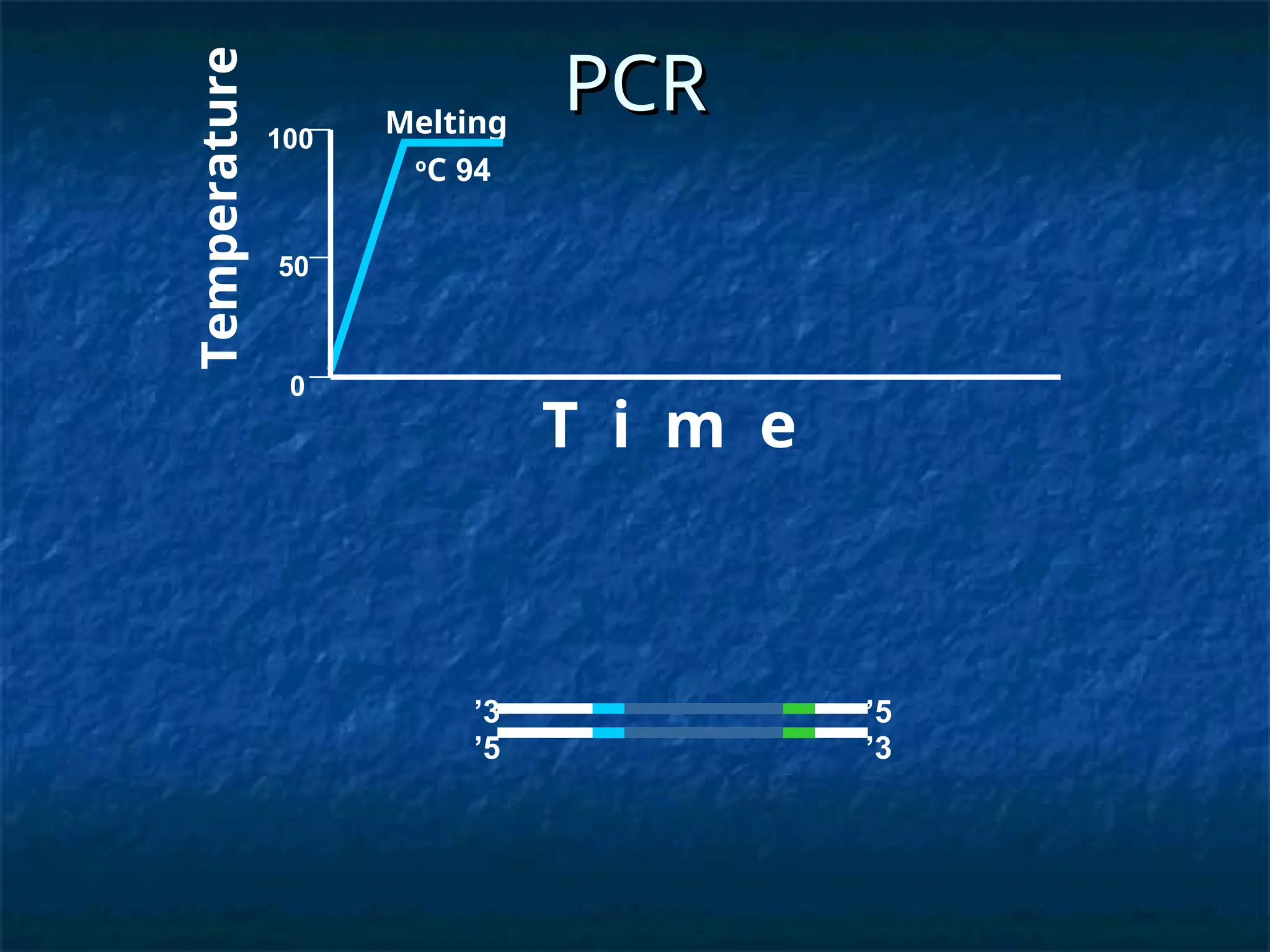 Lecture 10 Polymerase Chain Reaction .ppt | Chemistry | Science