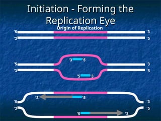 Lecture 10 Polymerase Chain Reaction .ppt | Chemistry | Science