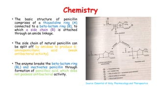 Lecture_10_Penicillines_Part_I Presenation.pptx
