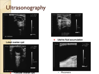 Lecture 10 repeat breeding | PDF