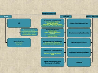 Lecture 10 repeat breeding | PDF