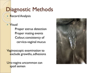 Lecture 10 repeat breeding | PDF