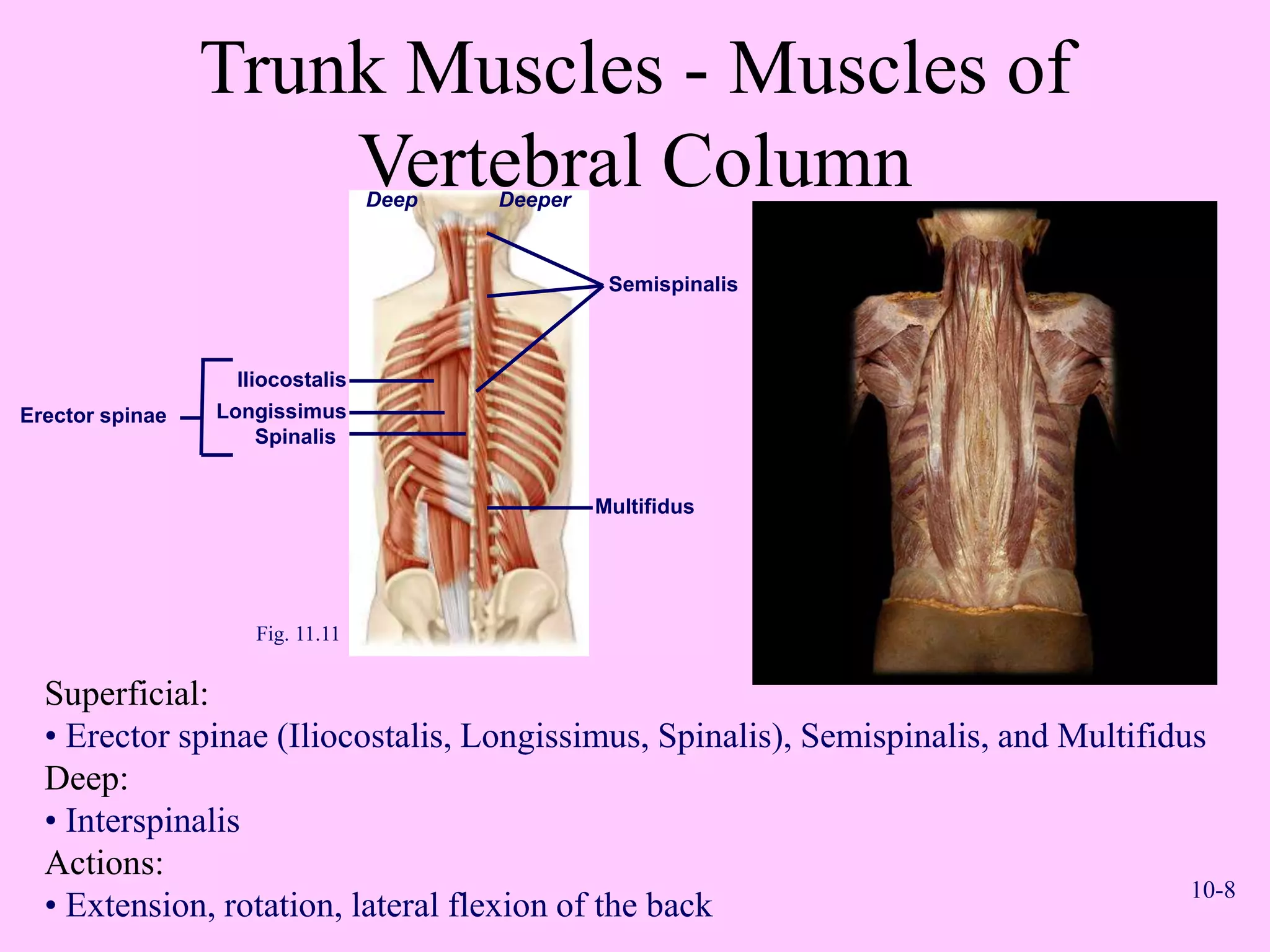 lecture 10t.ppt