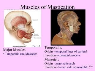 lecture 10t.ppt