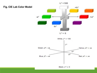 Lecture#10 Theory of Color.pptx