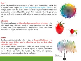 Lecture#10 Theory of Color.pptx