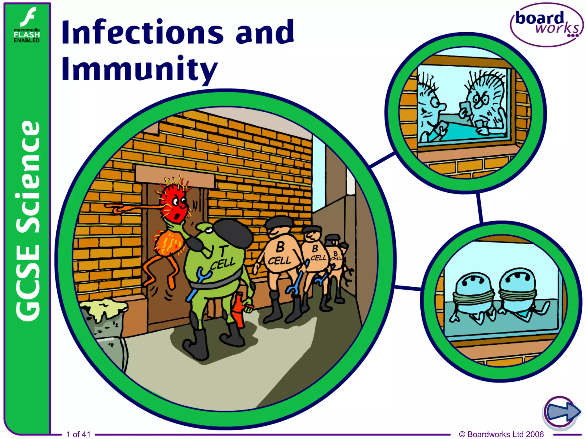 infections and immunity | PPT