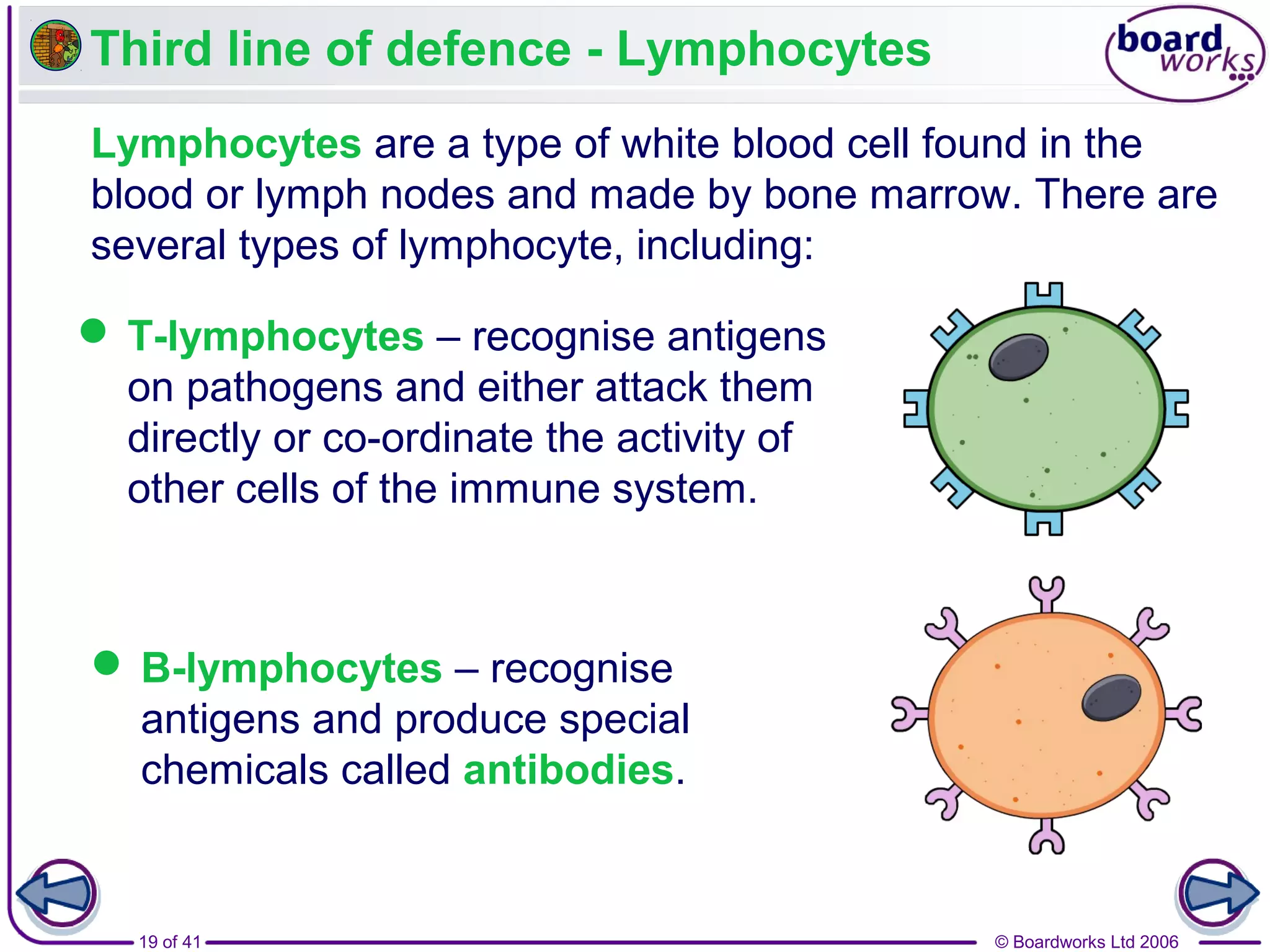 infections and immunity | PPT