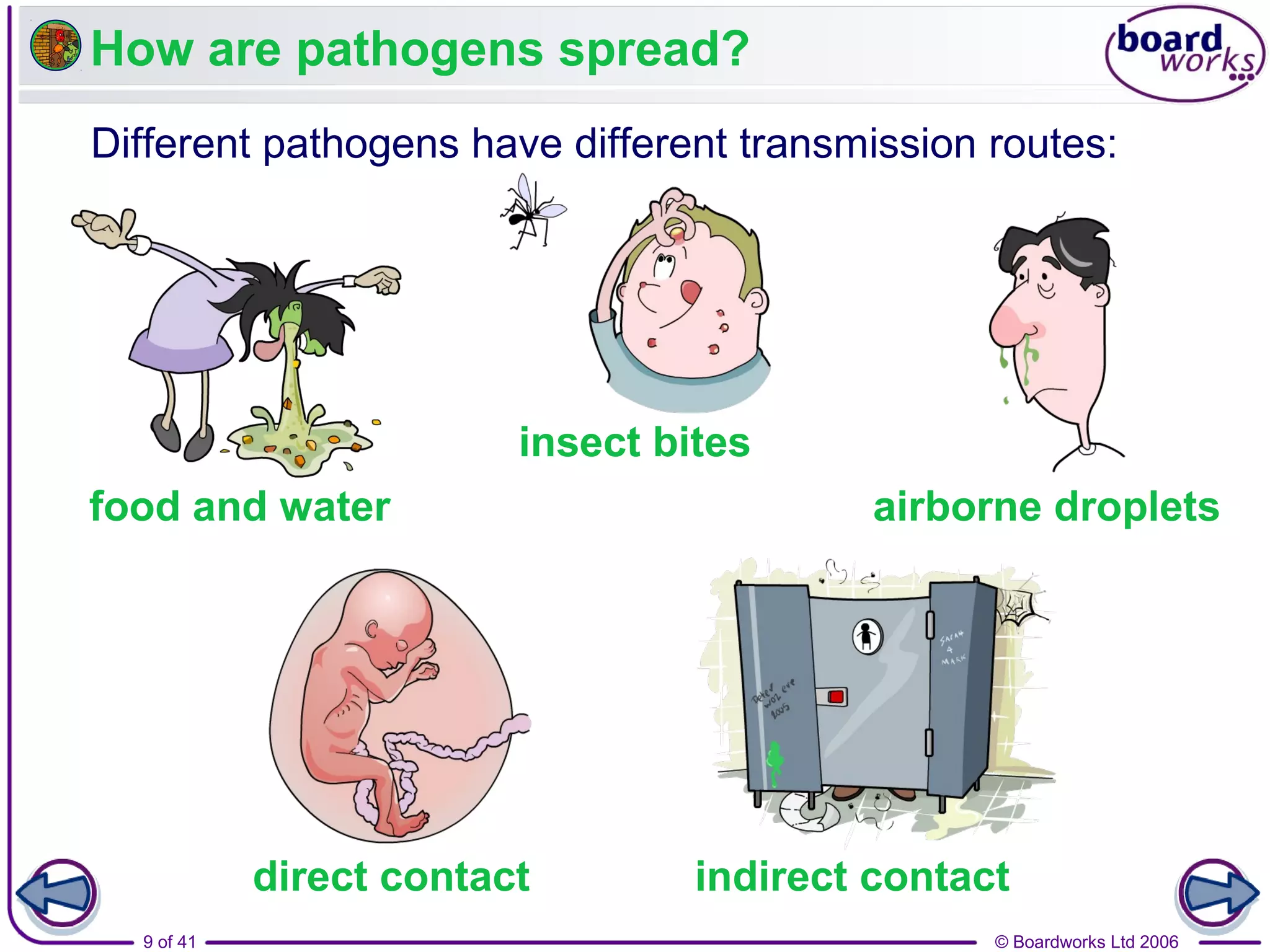 infections and immunity | PPT | Infectious Diseases | Diseases and ...