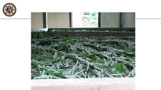 Overview of Silk fiber, its properties and application | PPT