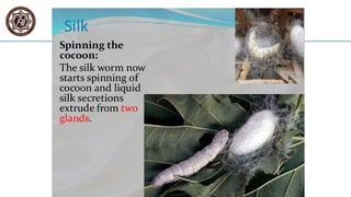 Overview of Silk fiber, its properties and application | PPT