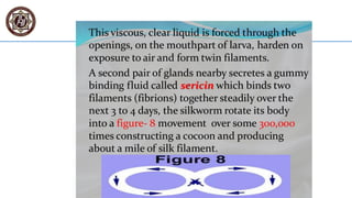 Overview of Silk fiber, its properties and application | PPT