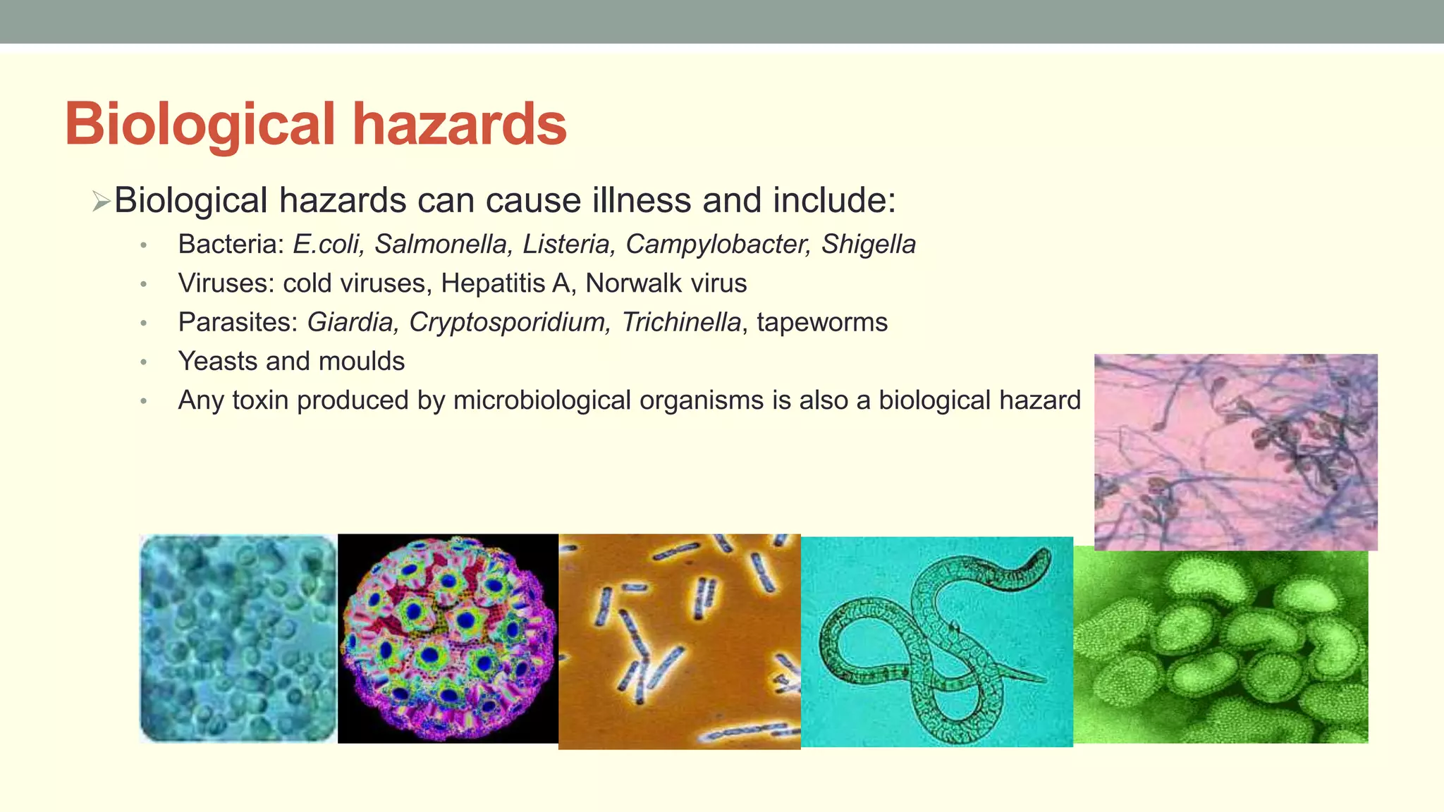 Lecture 11 hazard analysis and critical control point HACCP | PPT