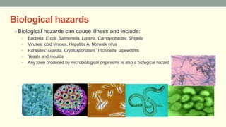 Lecture 11 hazard analysis and critical control point HACCP | PPT