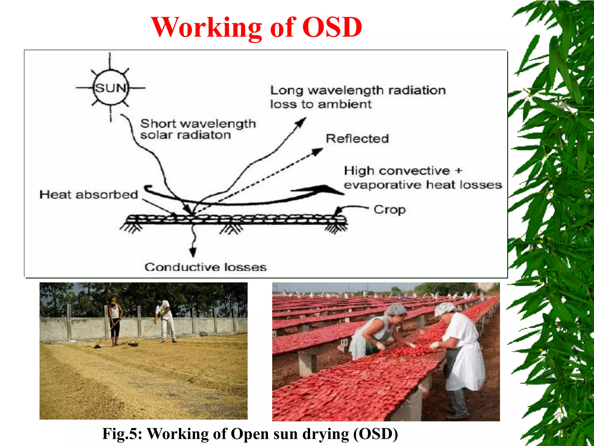 GREENHOUSE DRYING | PDF