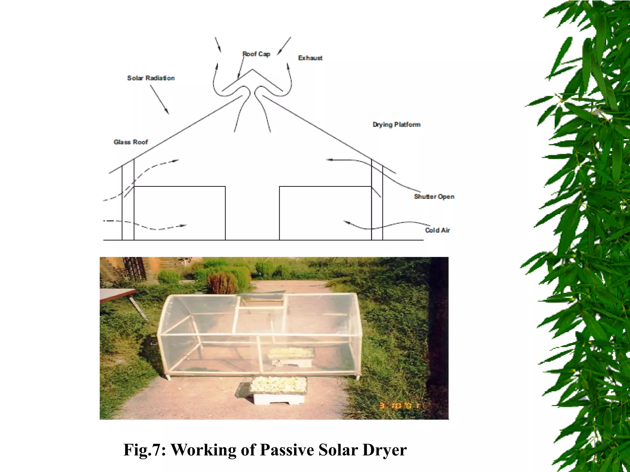 GREENHOUSE DRYING | PDF