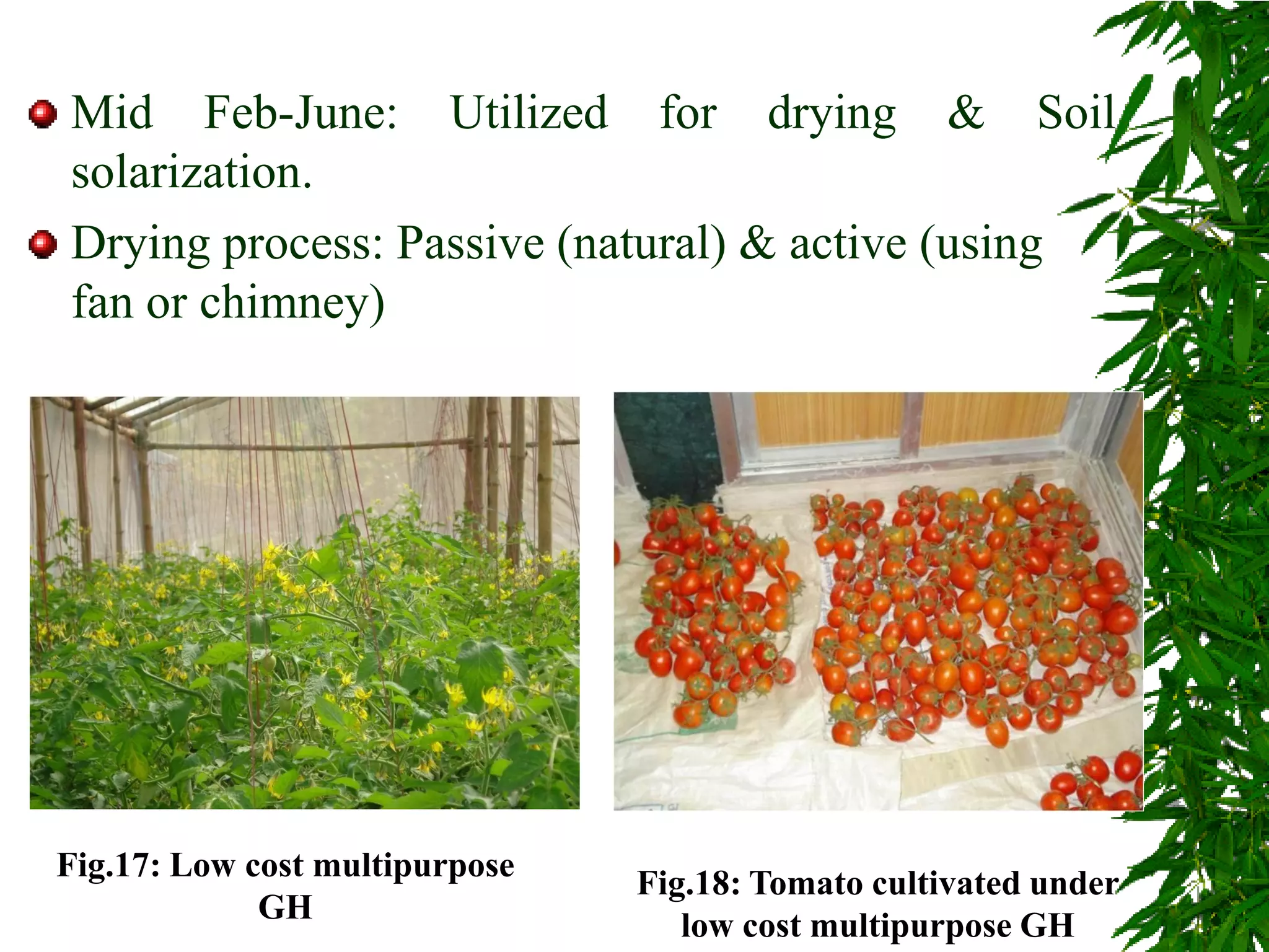 GREENHOUSE DRYING | PDF