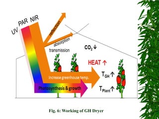 GREENHOUSE DRYING | PDF