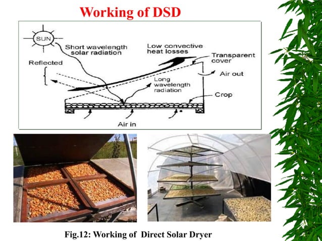 GREENHOUSE DRYING | PDF