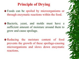 GREENHOUSE DRYING | PDF