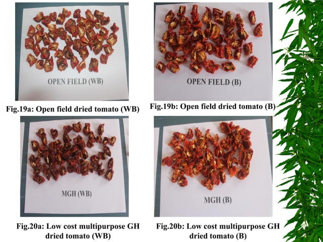 GREENHOUSE DRYING | PDF
