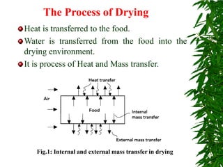 GREENHOUSE DRYING | PDF