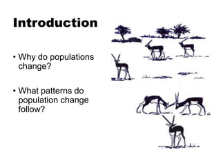 Lecture 11.pdf