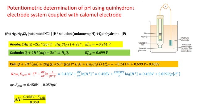 Lecture11.Cell.pdf
