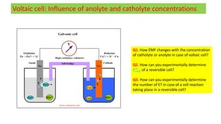 Lecture11.Cell.pdf