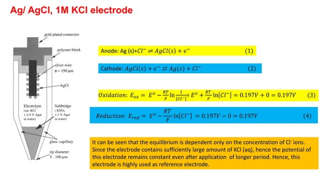Lecture11.Cell.pdf