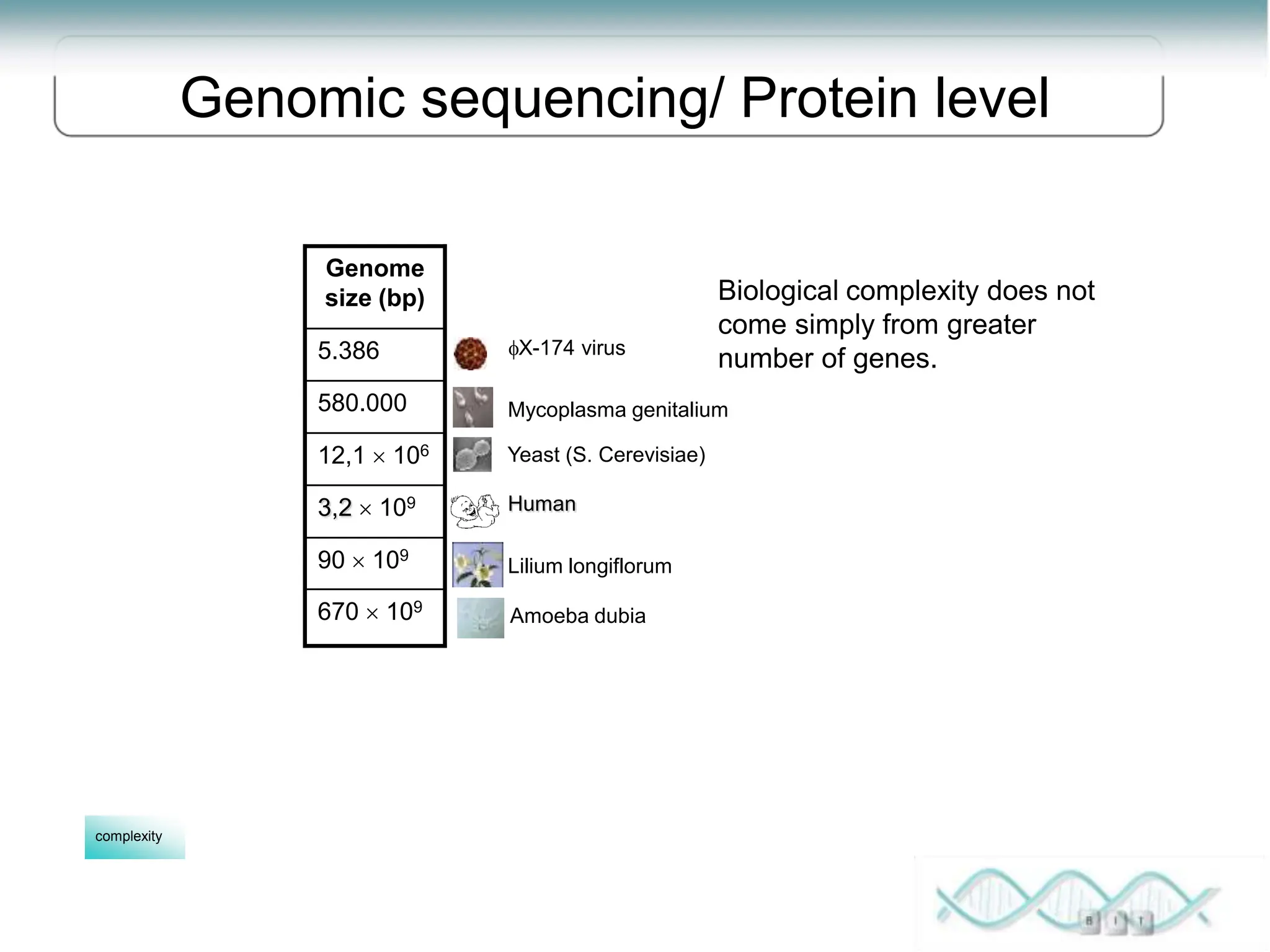 Proteomics Lecture 1 Introduction To Proteomics Ppt