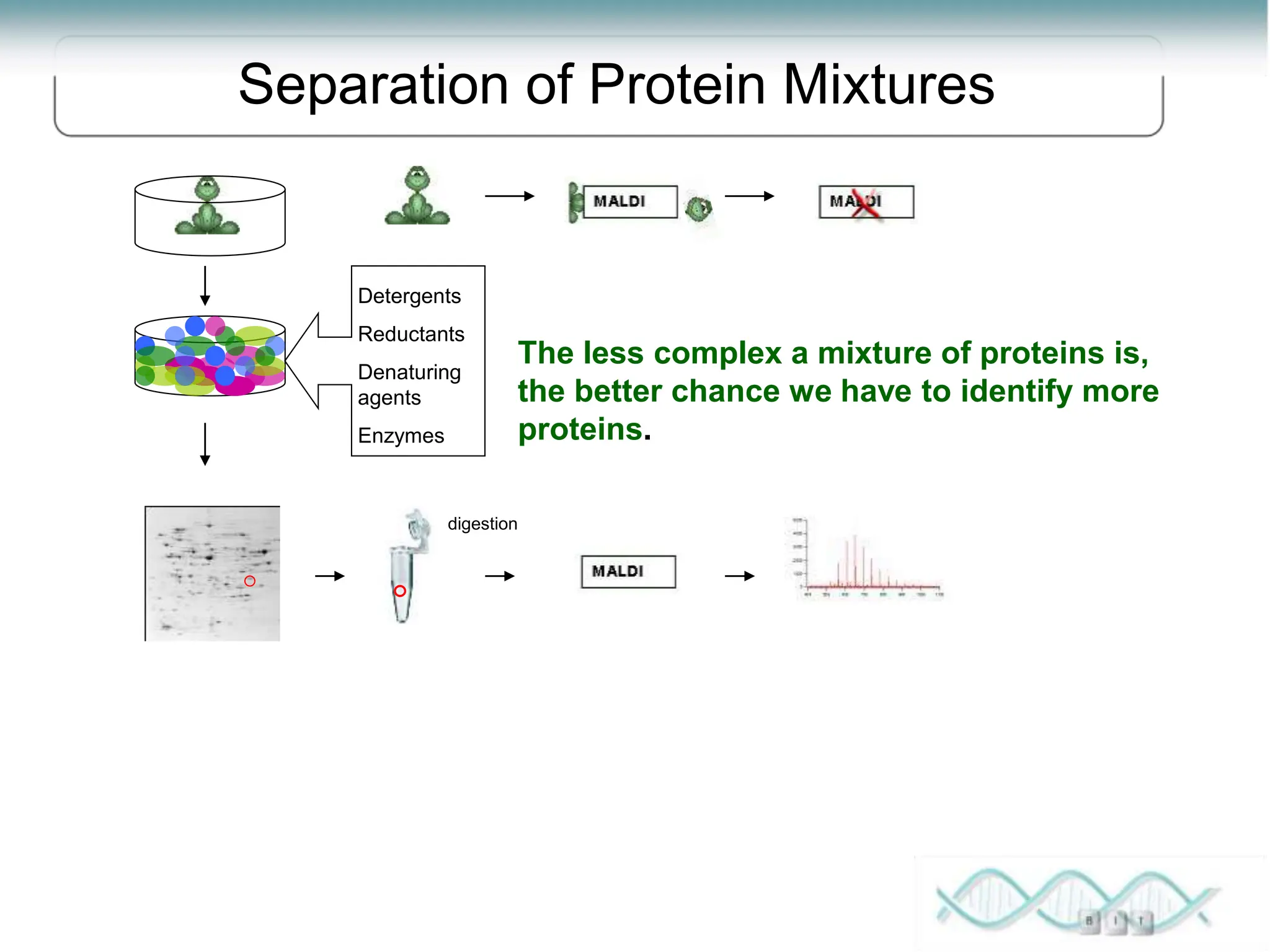 Proteomics Lecture 1 Introduction To Proteomics Ppt