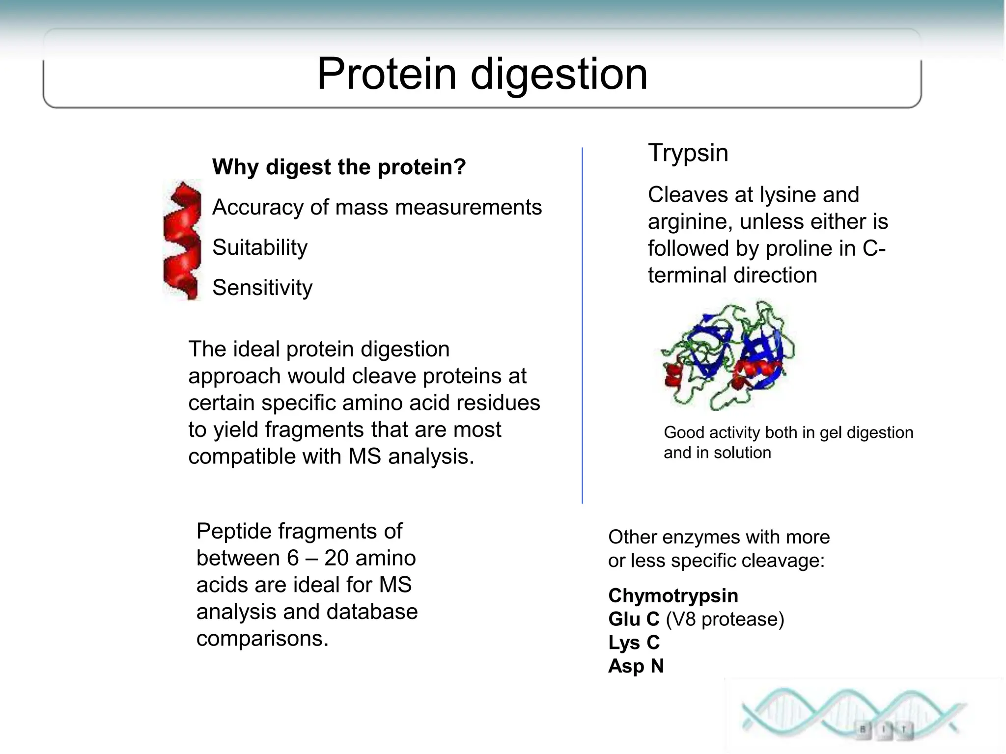Proteomics: lecture (1) introduction to proteomics | PPT