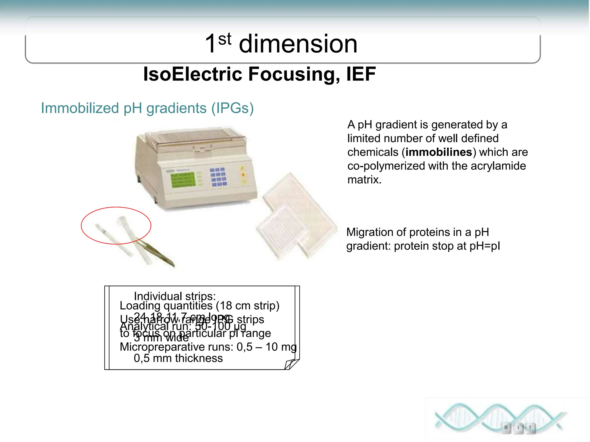 Proteomics: lecture (1) introduction to proteomics | PPT