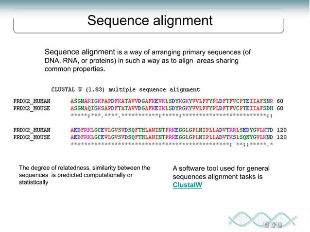 Proteomics: lecture (1) introduction to proteomics | PPT