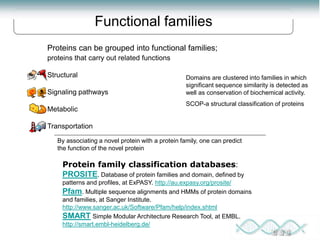 Proteomics: lecture (1) introduction to proteomics | PPT