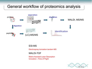 Proteomics: lecture (1) introduction to proteomics | PPT