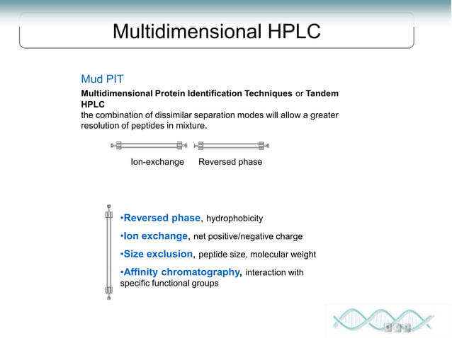 Proteomics: lecture (1) introduction to proteomics | PPT