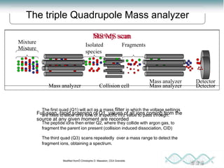 Proteomics: lecture (1) introduction to proteomics | PPT